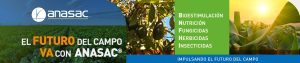 Home | ANASAC México